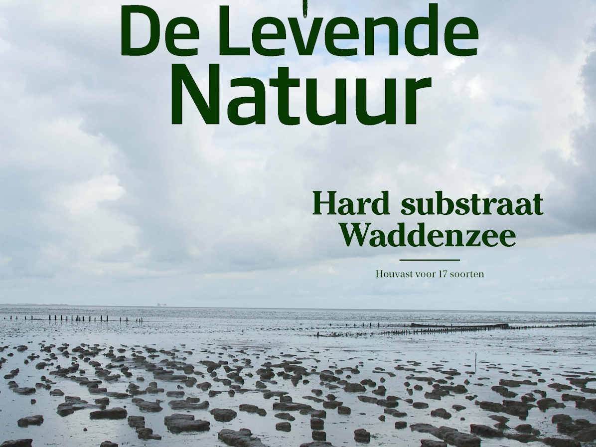 Twee artikelen over de Waddenzee in nieuwste nummer van De Levende ...