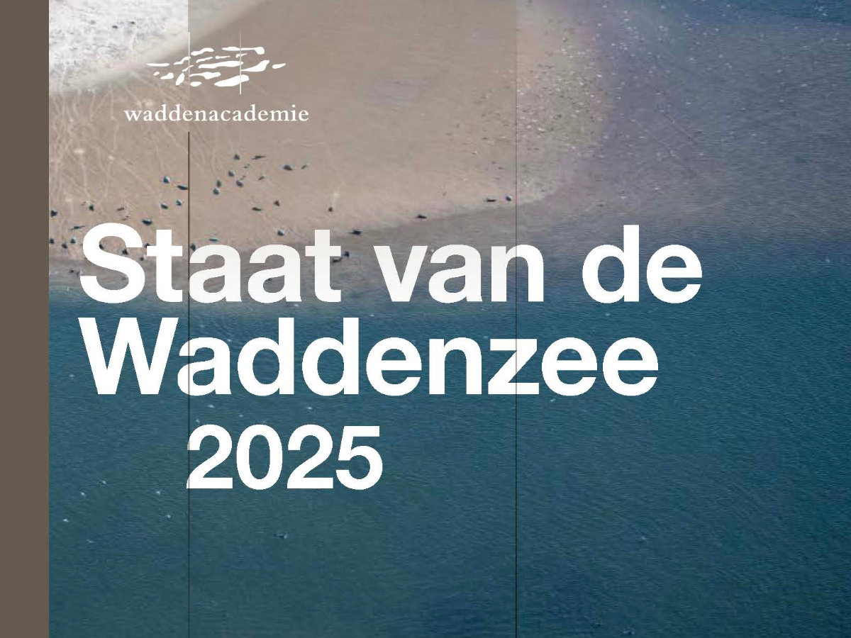 Samenvatting “Staat van de Waddenzee 2025” gepubliceerd - Waddenacademie