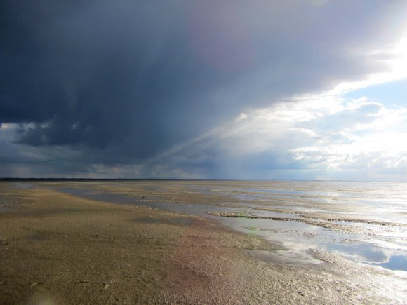 Wadplaten zijn de zonnepanelen van de Waddenzee - Waddenacademie