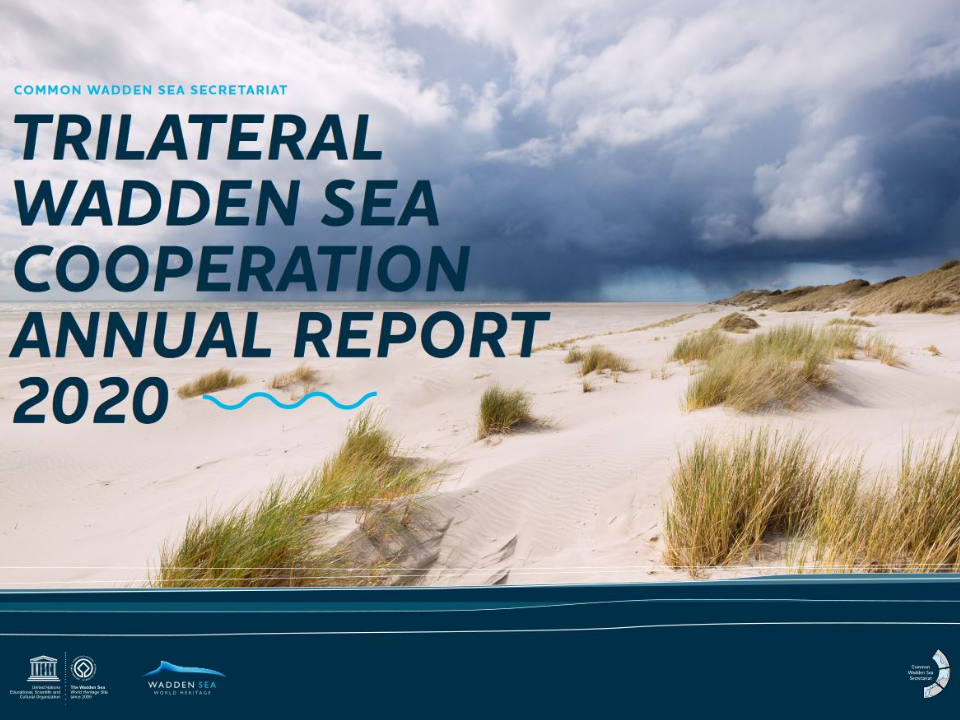 Annual report CWSS - Waddenacademie